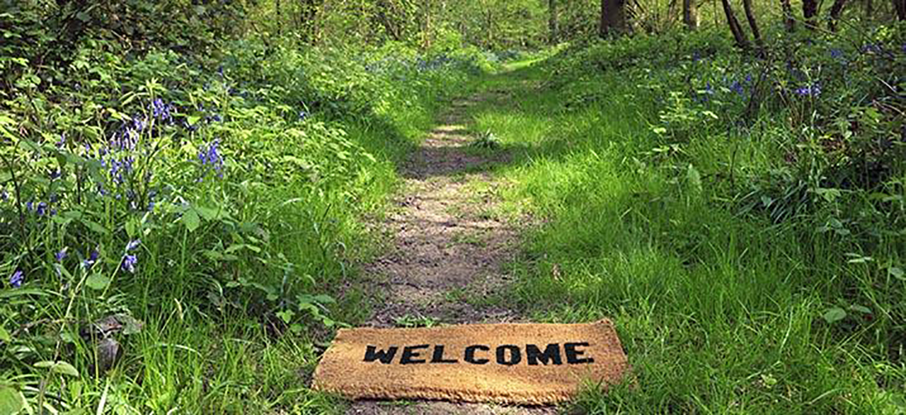 PROGRAMMING - Healthy in Nature